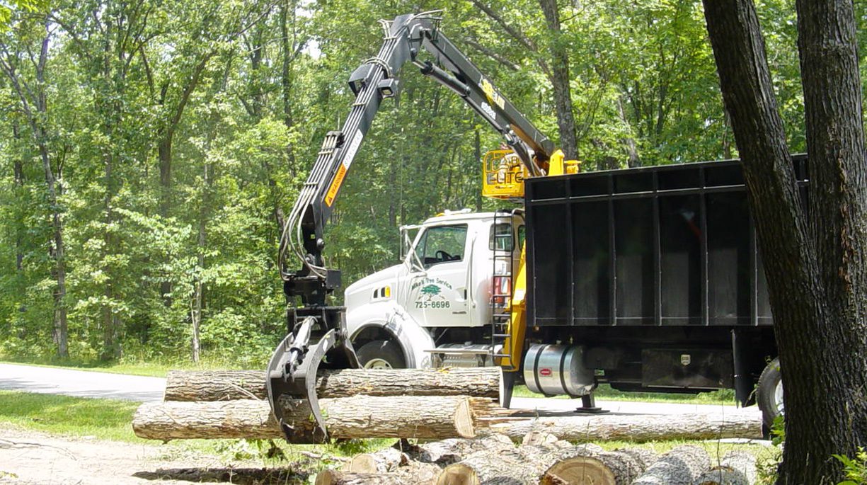 Mike's Tree Service | Nixa - Springfield, MO